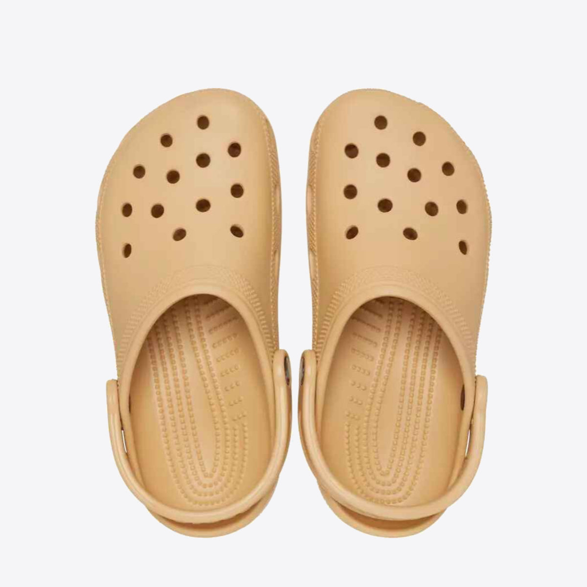 Buy CROCS Classic Clog - Wheat | Online | Pat Menzies
